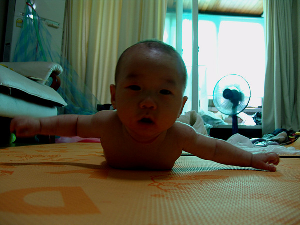 진성이 진수의 쇼핑 – 김동원목사의 홈페이지